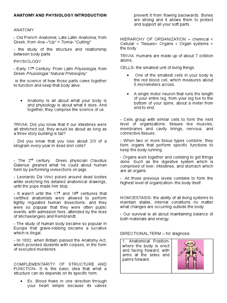 CRASH COURSE YT VIDS - Anatomy and Physiology Lecture Notes | PDF ...