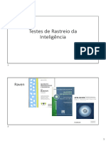 Teste Não Verbal de Inteligencia - G38 | PDF | Inteligência | Cognição