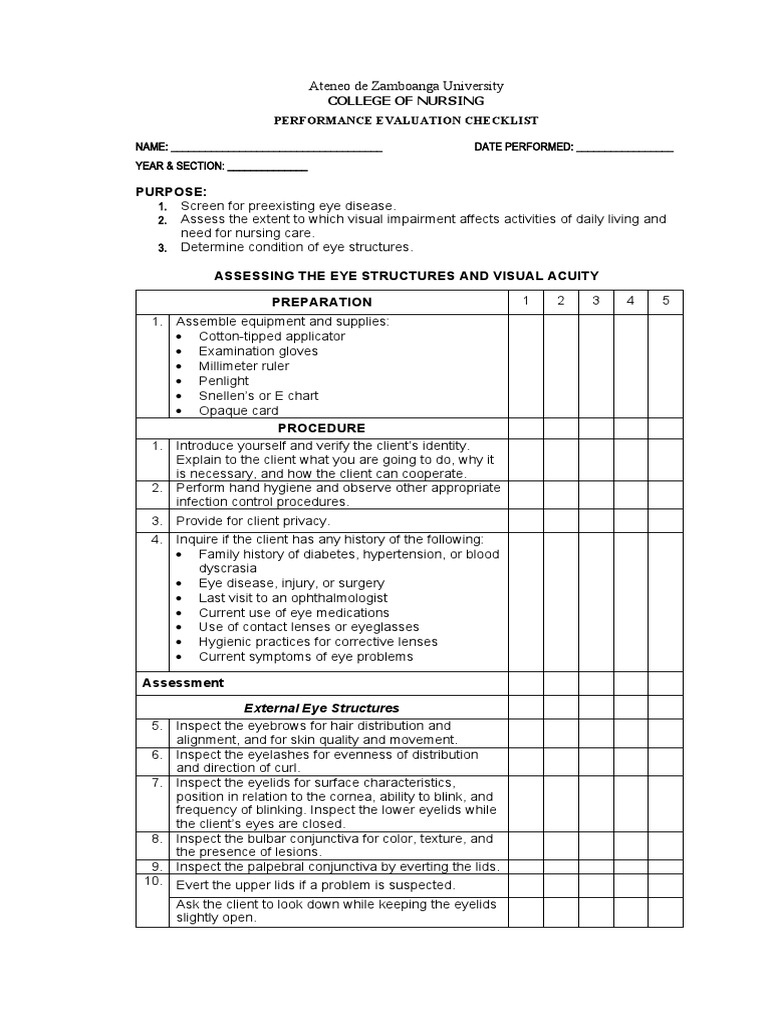 Assessing The Eye Structure and Visual Acuity | PDF