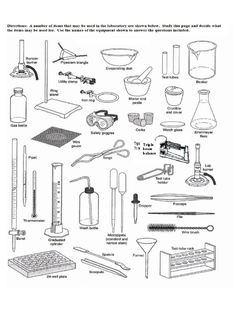 Lab Equipment Worksheet | PDF
