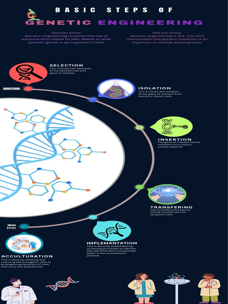 Basic Steps of Genetic Engineering | PDF | Genetic Engineering | Plasmid