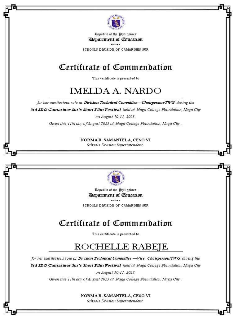 Commendation TWG | PDF