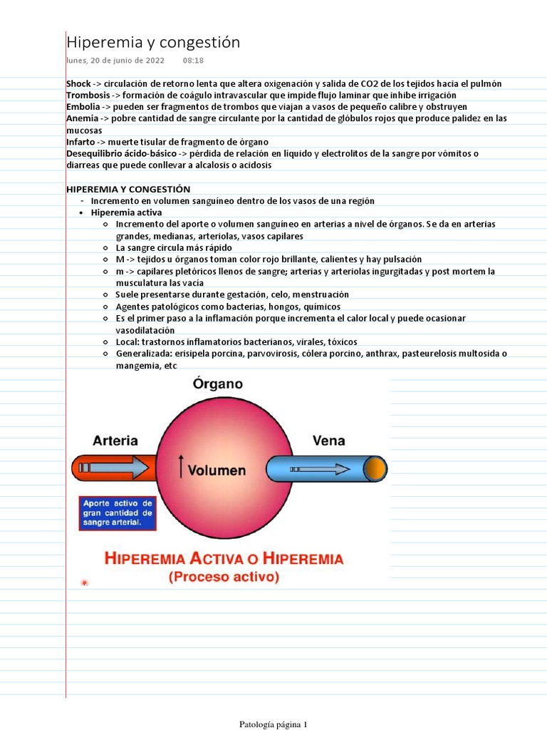 Hiperemia y Congestión: Patologías Vasculares | PDF | Edema | Corazón