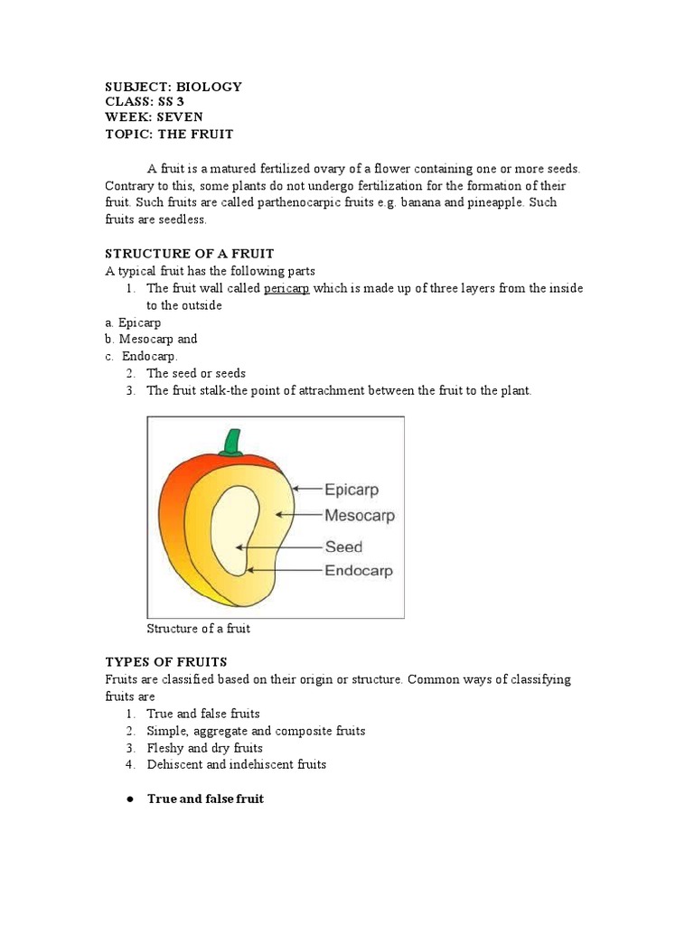 Biology Ss3 Weeks7-9 | Download Free PDF | Fruit | Seed