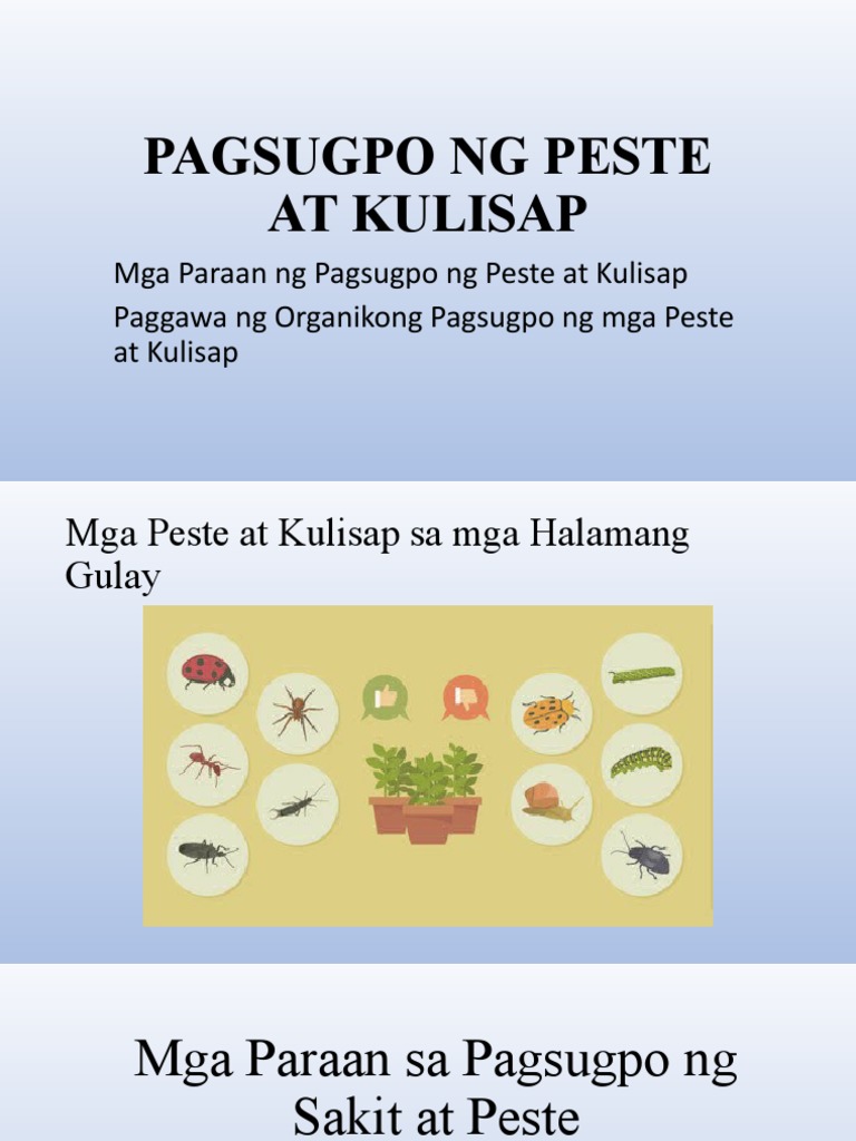 Lecture 4 Pagsugpo NG Mga Peste A Kulisap | PDF