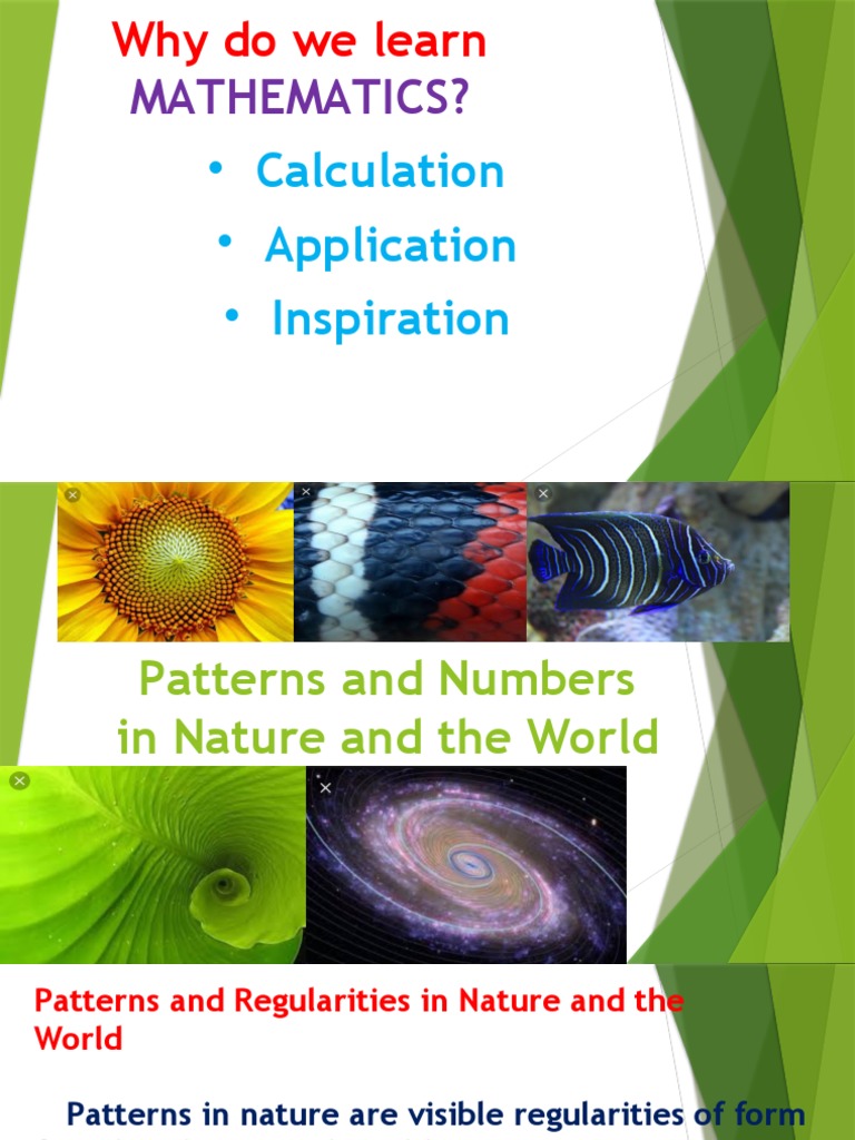 Patterns in Nature Explained | PDF