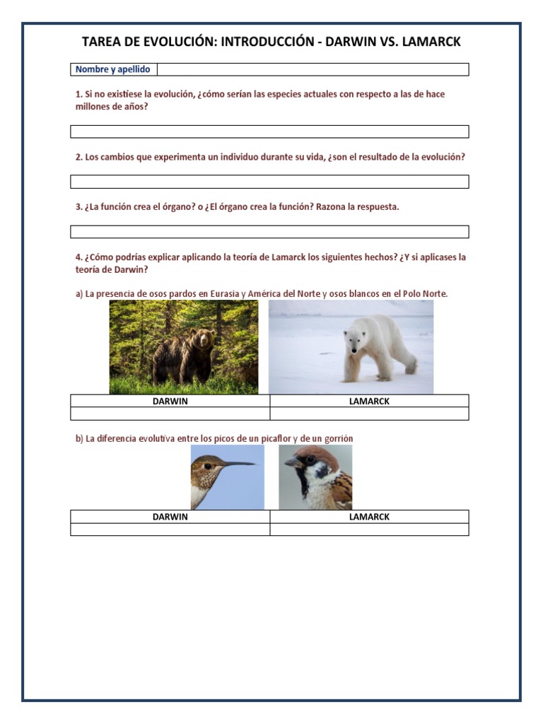 TAREA 1. Evolución - Introducción | PDF