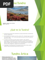 Ecosistema Tundra: Características y Amenazas | PDF | Geografía Física ...