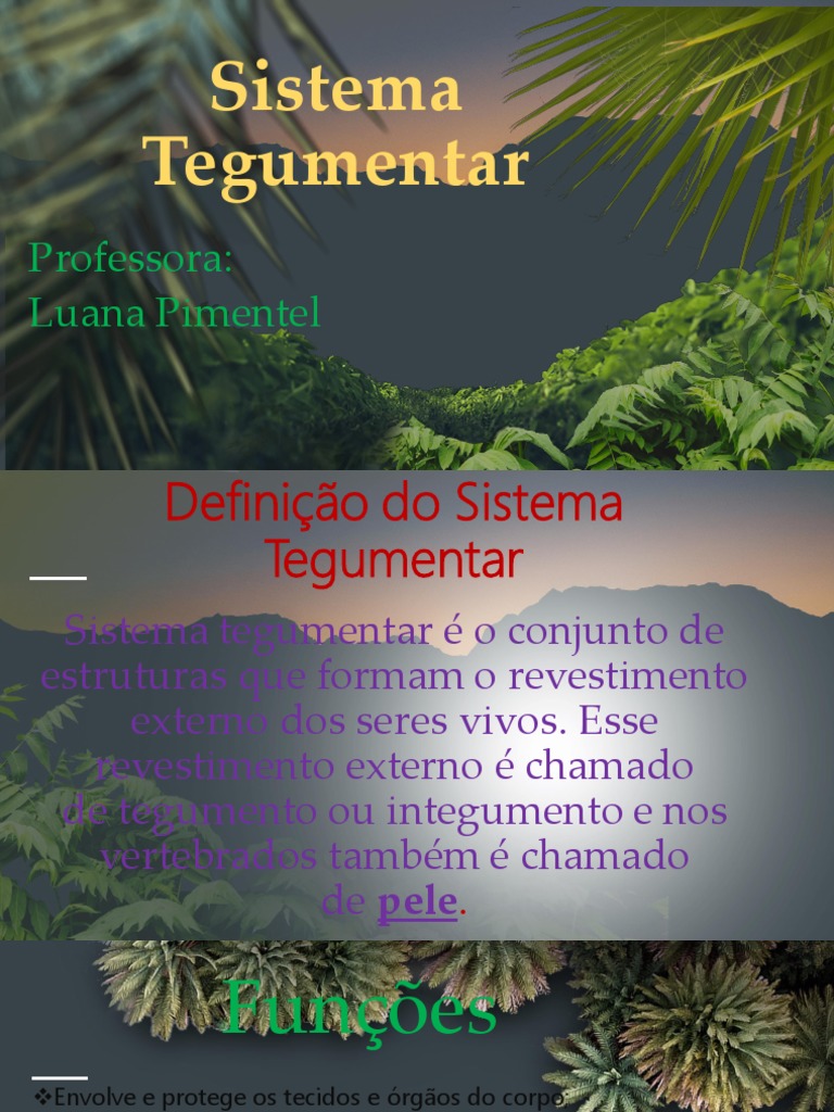 Sistema Tegumentar | PDF | Sistema tegumentar | Pele