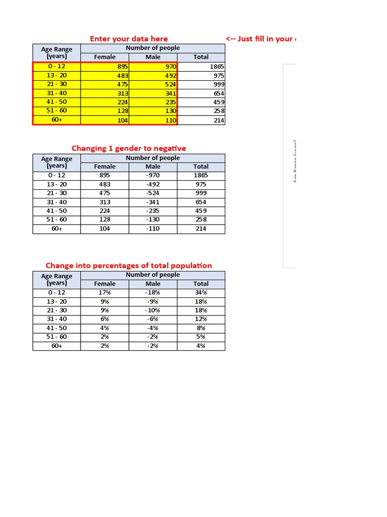 Population Pyramid Template | PDF