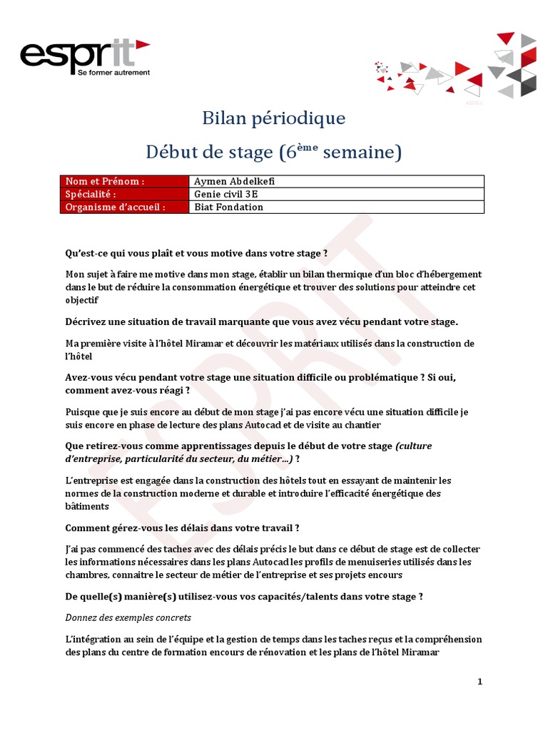 Bilan Périodique Début Du Stage | PDF