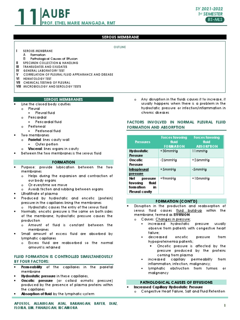 Trans Aubf Lec11 | PDF