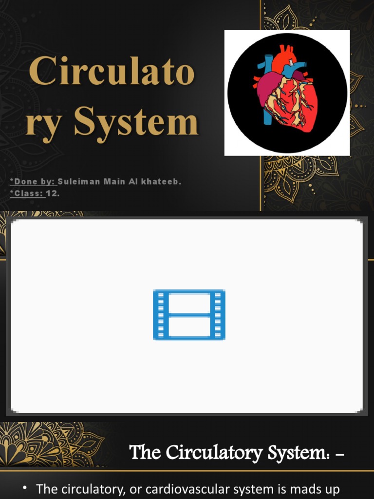Circulatory System | PDF