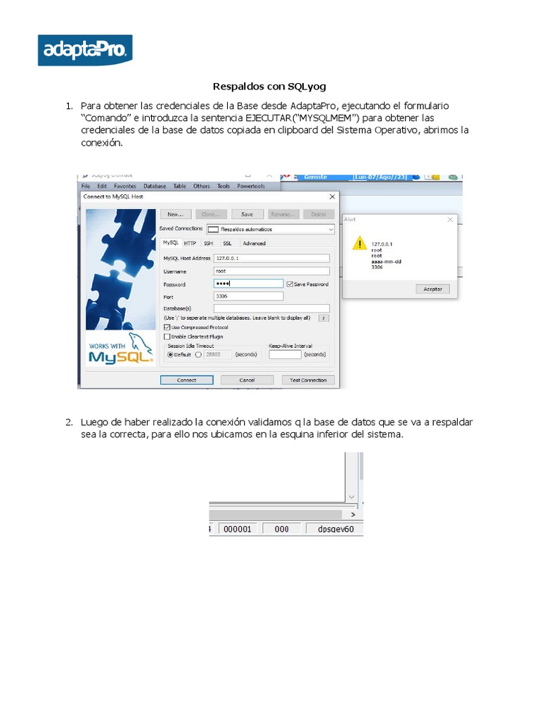 Respaldos Con SQLyog | PDF
