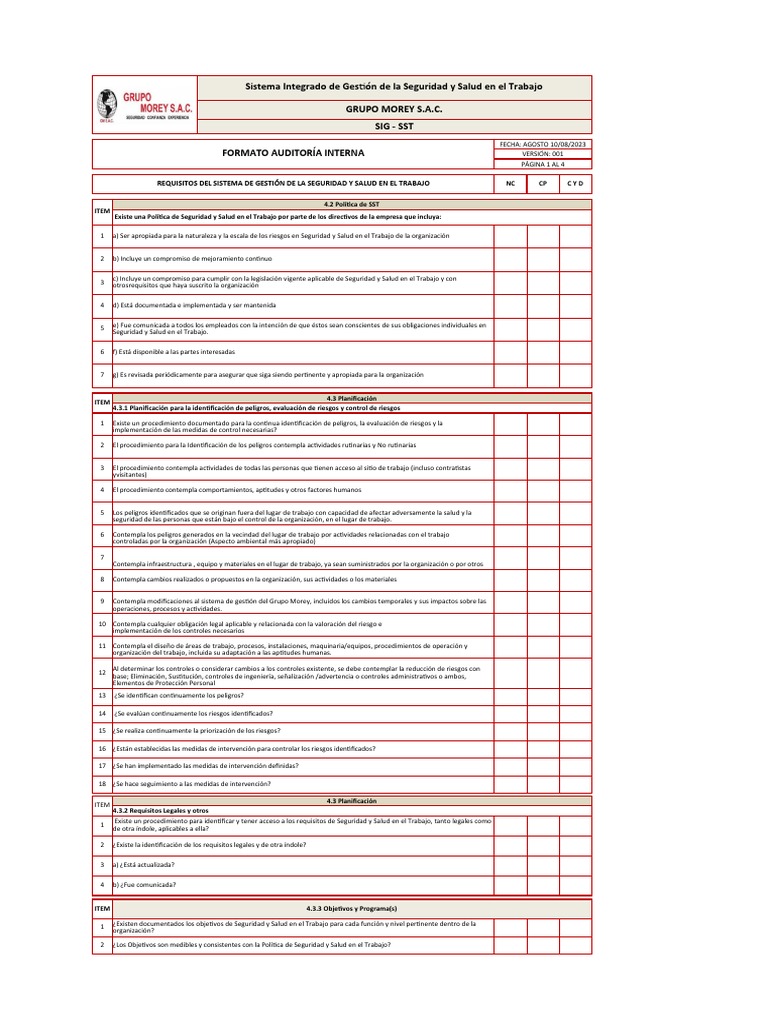 Formato de Auditoria Interna | PDF