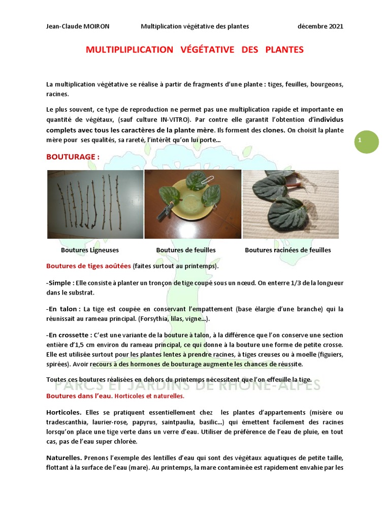 Techniques de Multiplication Végétative | PDF | Sciences et ...