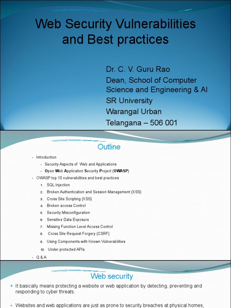 Web Security Vulnerabilities | PDF