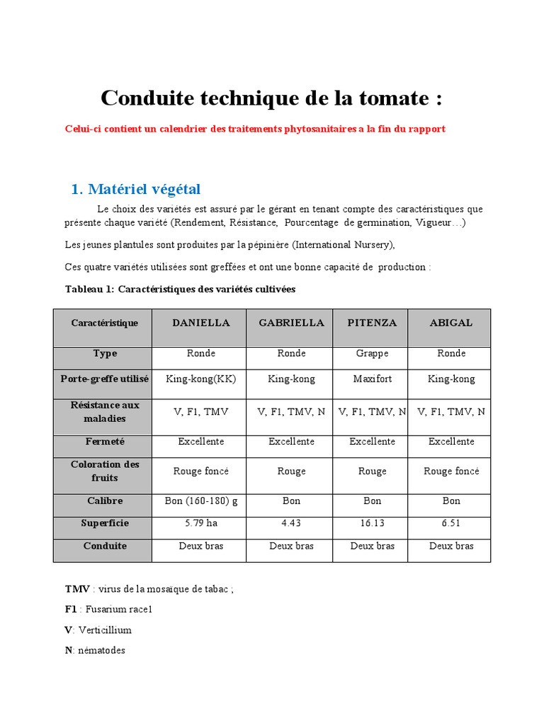 Conduite Technique de La Tomate | PDF