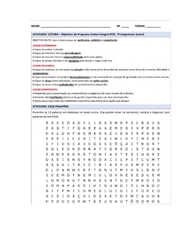 Protagonismo Juvenil Renato | PDF