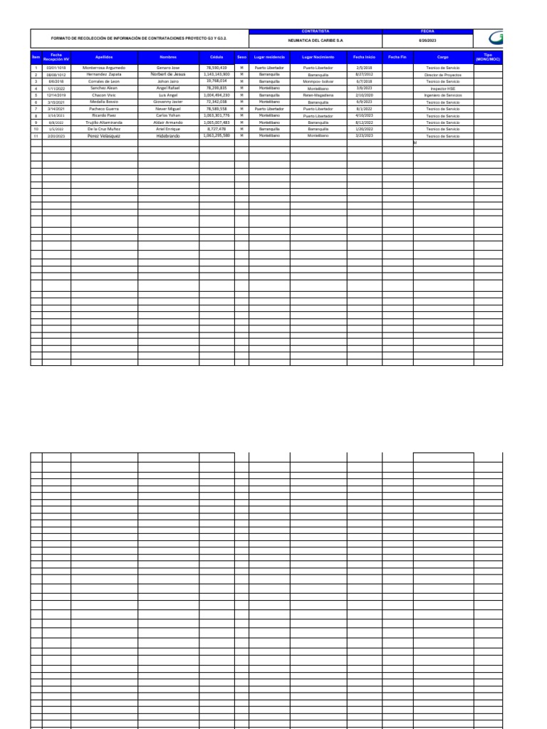 Formato General de Información Mensual | PDF