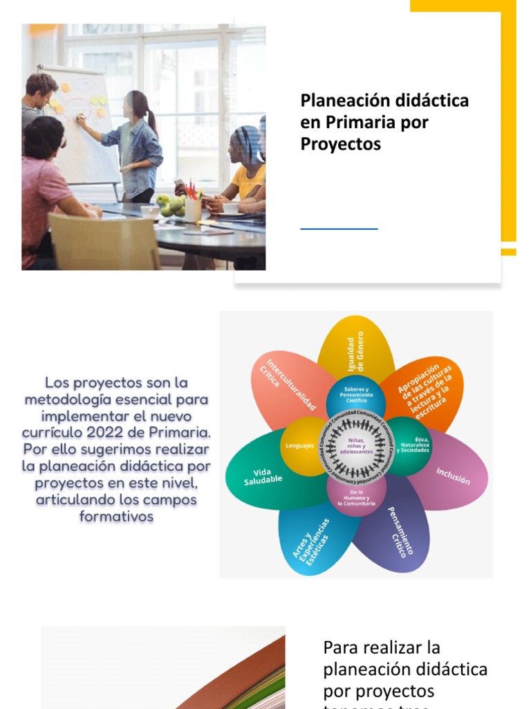 Planeacion Por Proyectos | PDF
