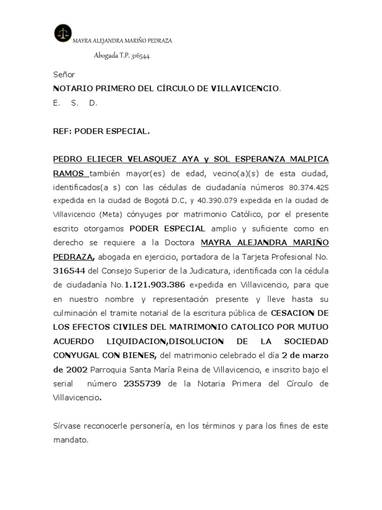 Poder Especial | PDF