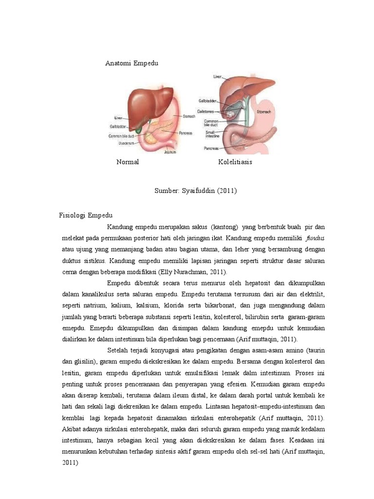 Anatomi Empedu | PDF