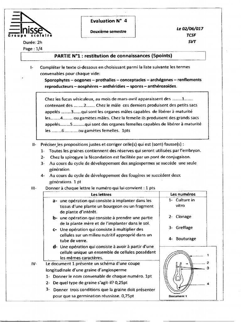 Devoir 3 Modele 1 SVT TC Semestre 2 | PDF
