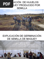 Manual de Usuario eSIFAP Hidalgo | PDF | Contraseña | Internet