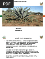 Manual de Usuario eSIFAP Hidalgo | PDF | Contraseña | Internet