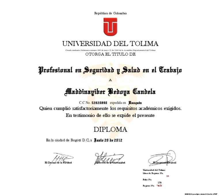 Diploma de La Universidad Del Tolima Bogota D.C | PDF