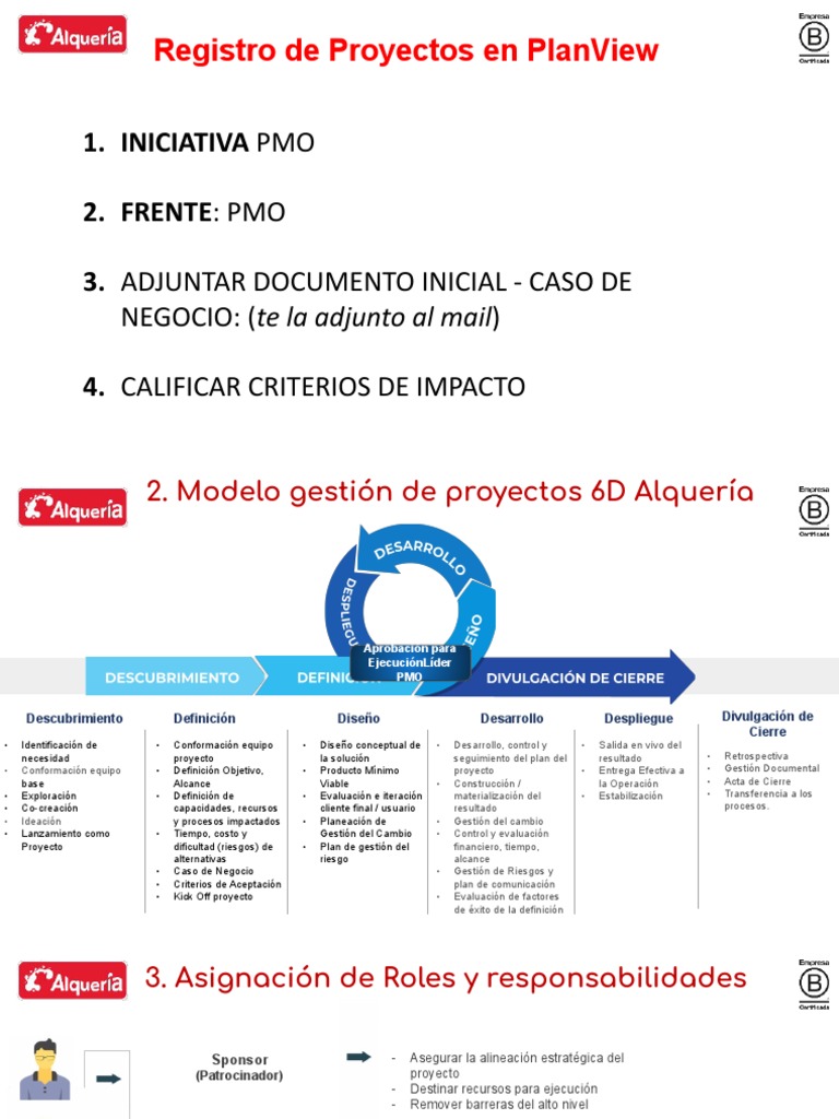 Registro de Proyectos en PlanView | PDF