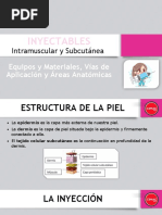 Guia Detallada de Sitios de Puncion para Inyecciones IM SC e IV | PDF ...