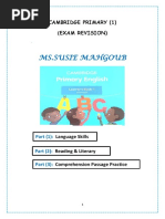 Primary 2 English Exam | PDF