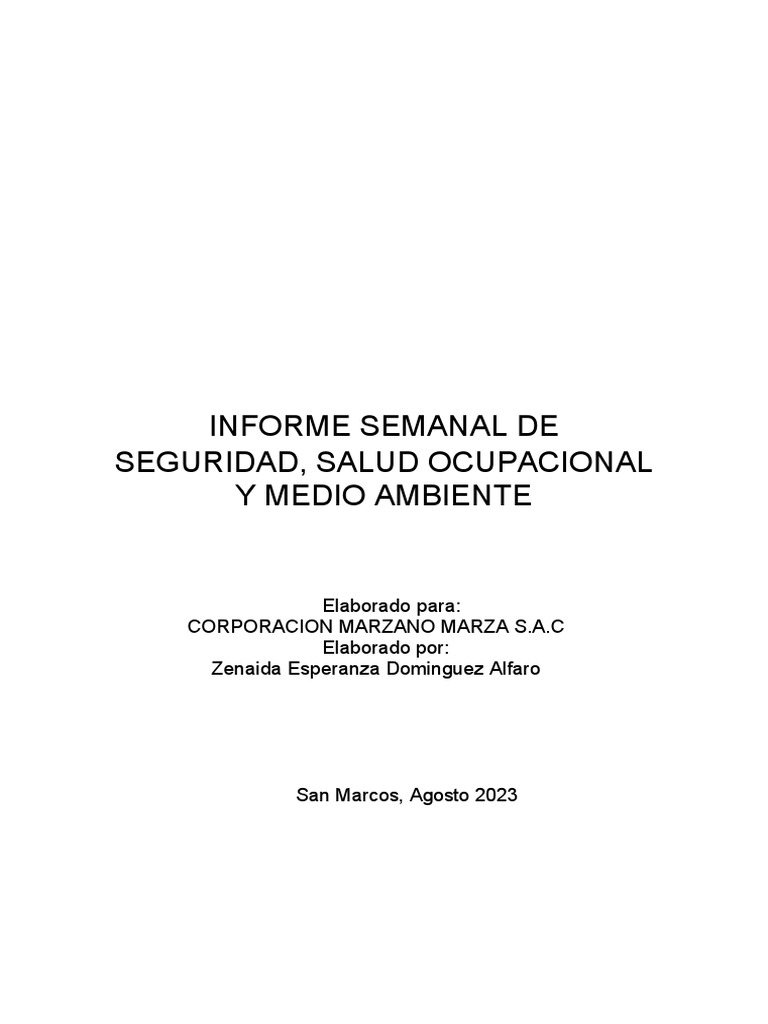 Informe Semanal Ssoma 01 | PDF Informe Semanal Ssoma 01 | PDF