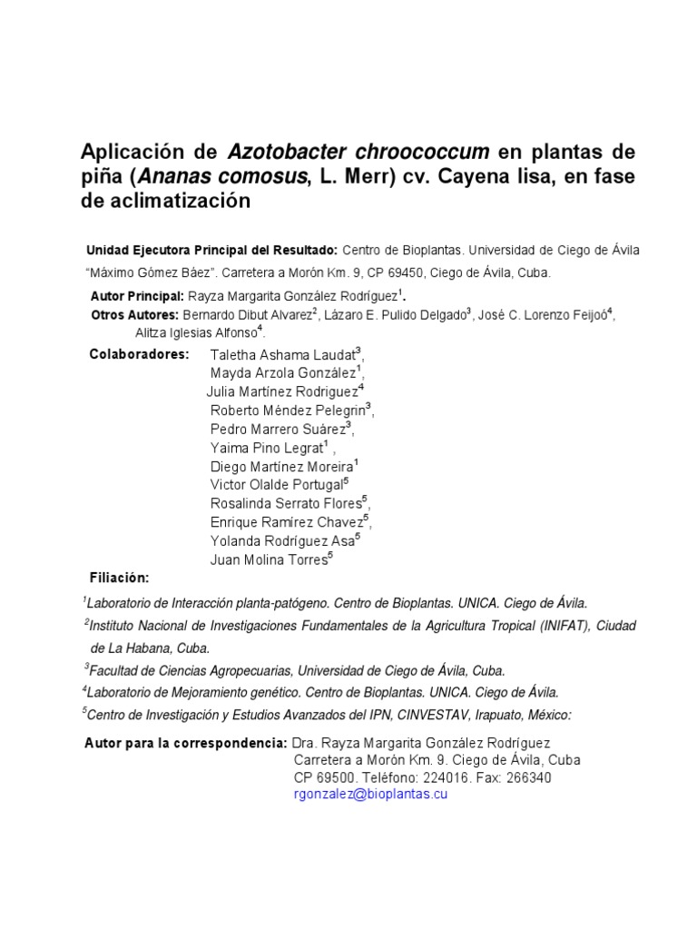 558 876 1 PB | PDF