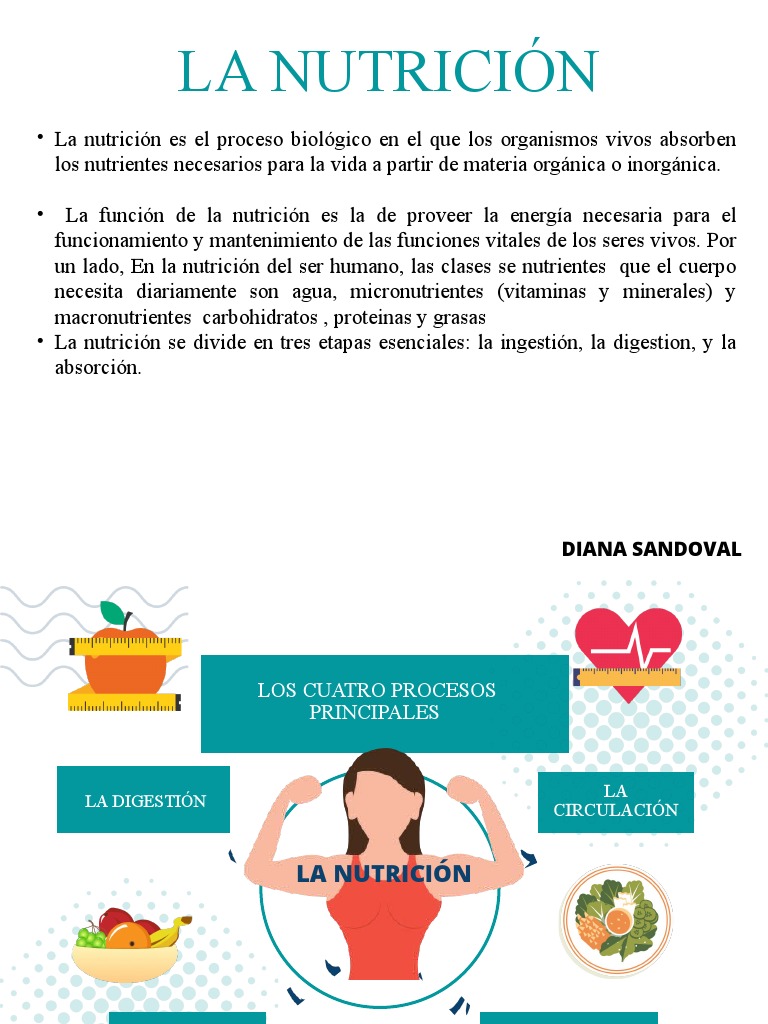 Funciones y Procesos de la Nutrición | PDF