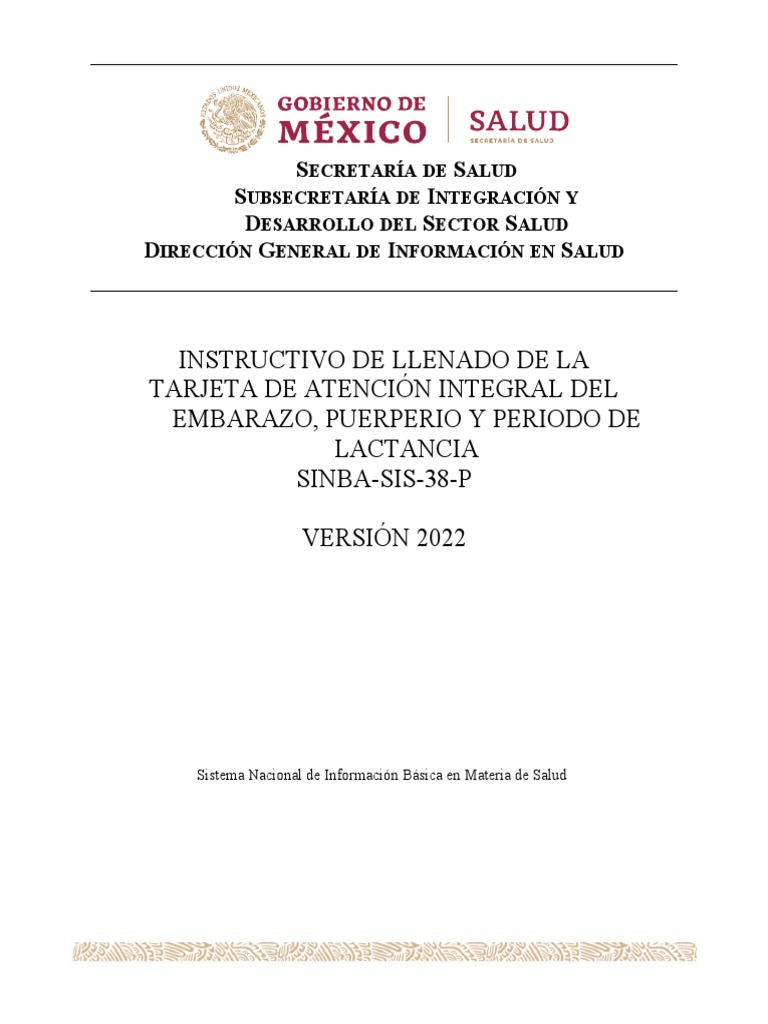 Instructivo de Llenado de La Tarjeta de Control de Embarazo, Puerperio ...