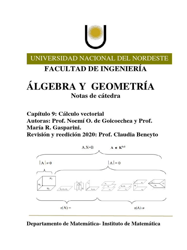 9-Cálculo Vectorial | PDF | Vector Euclidiano | Base (álgebra lineal)