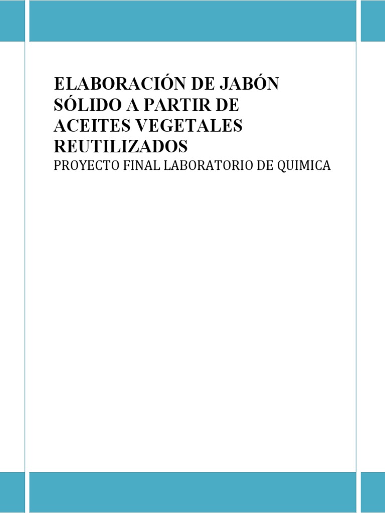 ELABORACION de Jabon Proyecto Final | PDF