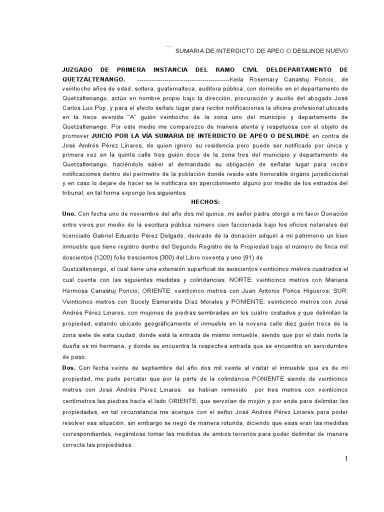 Sumario de Apeo y Deslinde Nuevo | PDF