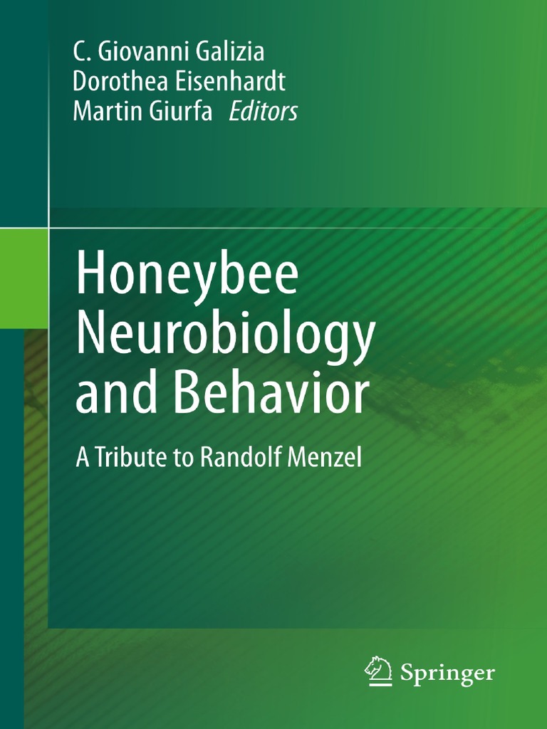 Neurobiology of Honeybees | PDF | Foraging | Eusociality