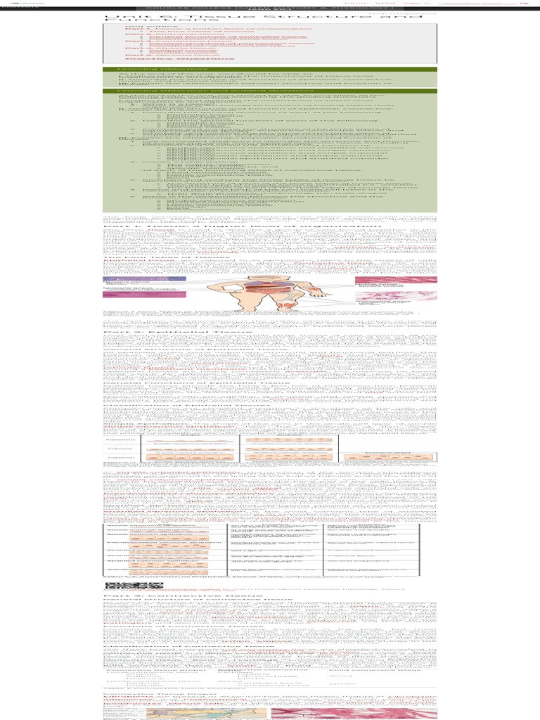 Unit 6 Tissue Structure and Functions - Douglas College Human Anatomy ... Unit 6 Tissue Structure and Functions - Douglas College Human Anatomy ...