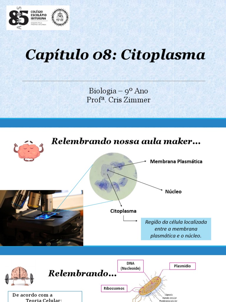 Cap 08 - Citoplasma - 9º Ano | PDF | Ciências e Matemática