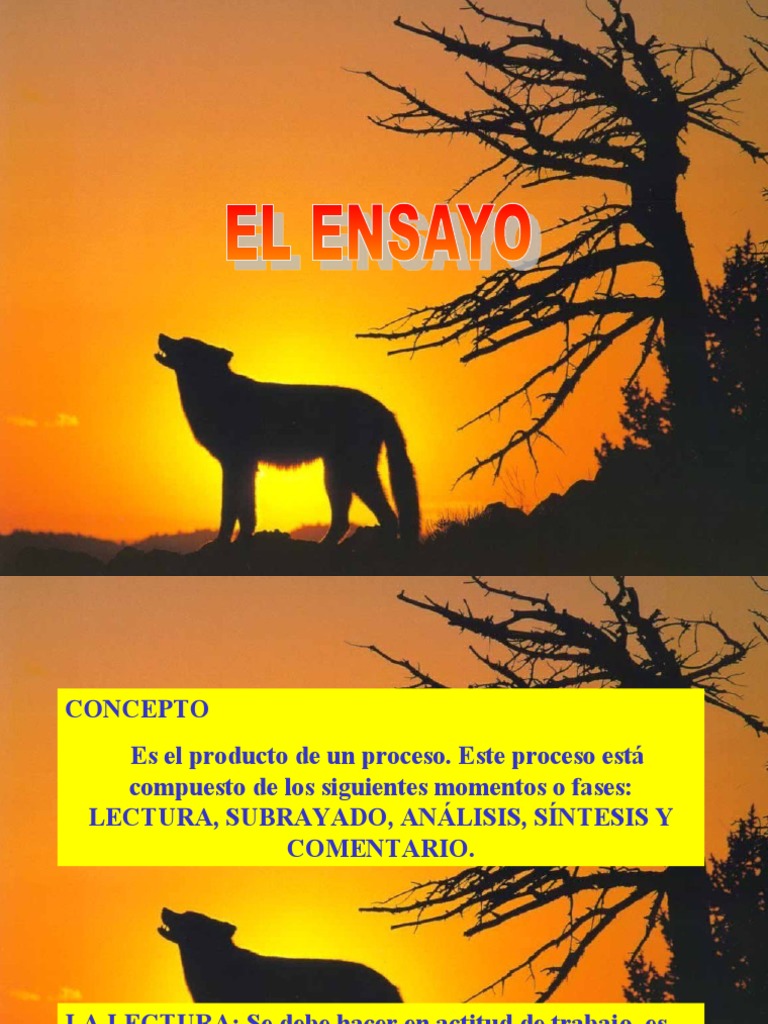 El Ensayo | PDF