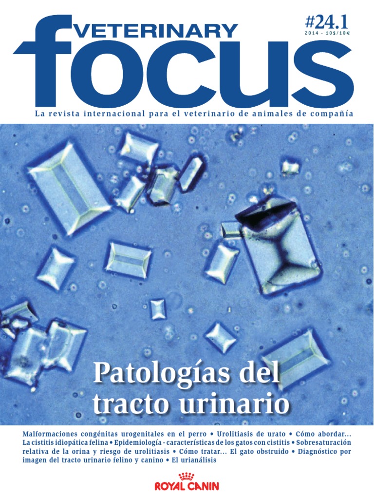 Veterinary Focus 2014 | PDF