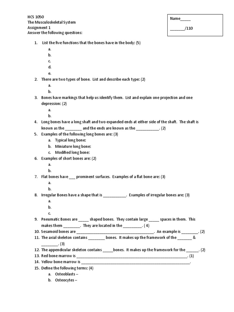 Musculoskeletal Worksheet | PDF
