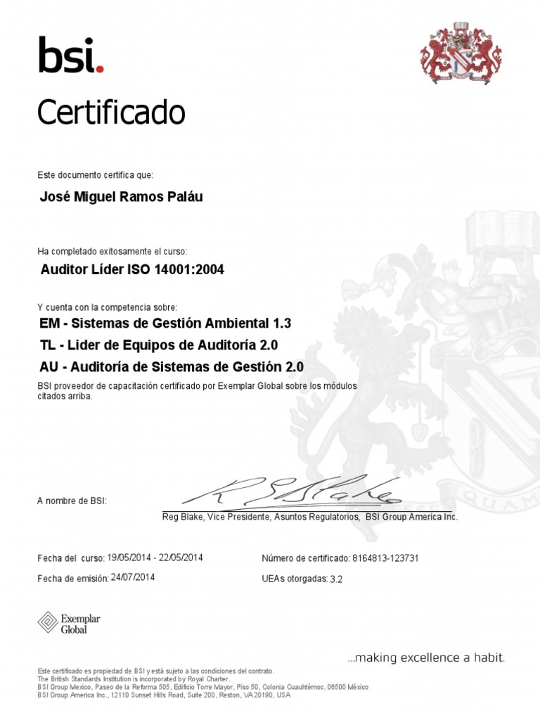 Certificado Bsi 2 y 3 | PDF