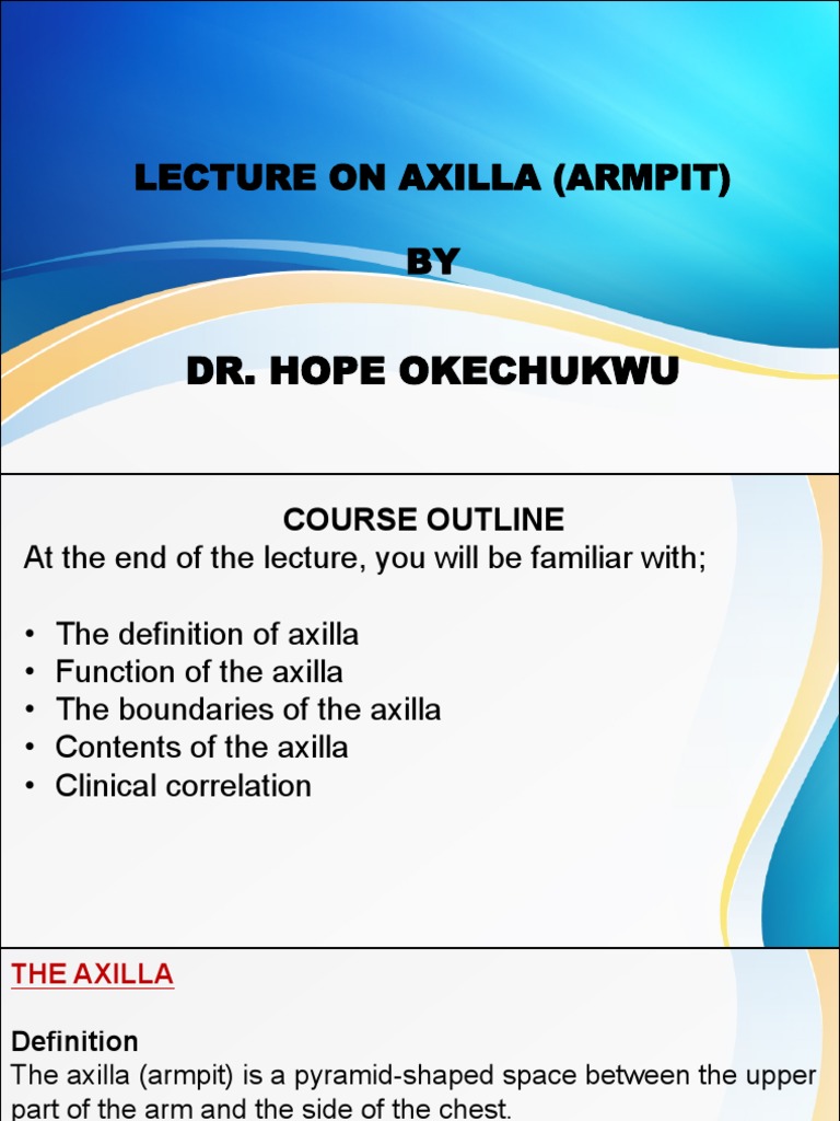 Lecture On Axilla PDF | PDF | Arm | Musculoskeletal System Lecture On Axilla PDF | PDF | Arm | Musculoskeletal System