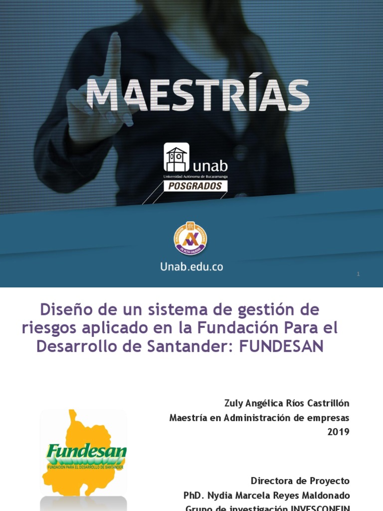 2019 Presentacion Zuly Angelica Rios Castrillon | PDF | Riesgo | Microcrédito